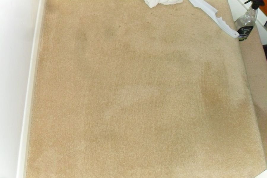 Spot & Stain Treatment Wellingborough, Northamptonshire ...